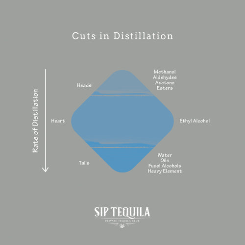 Cuts in Tequila Distillation | Sip Tequila