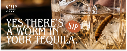 Is There Really a Worm in Tequila?