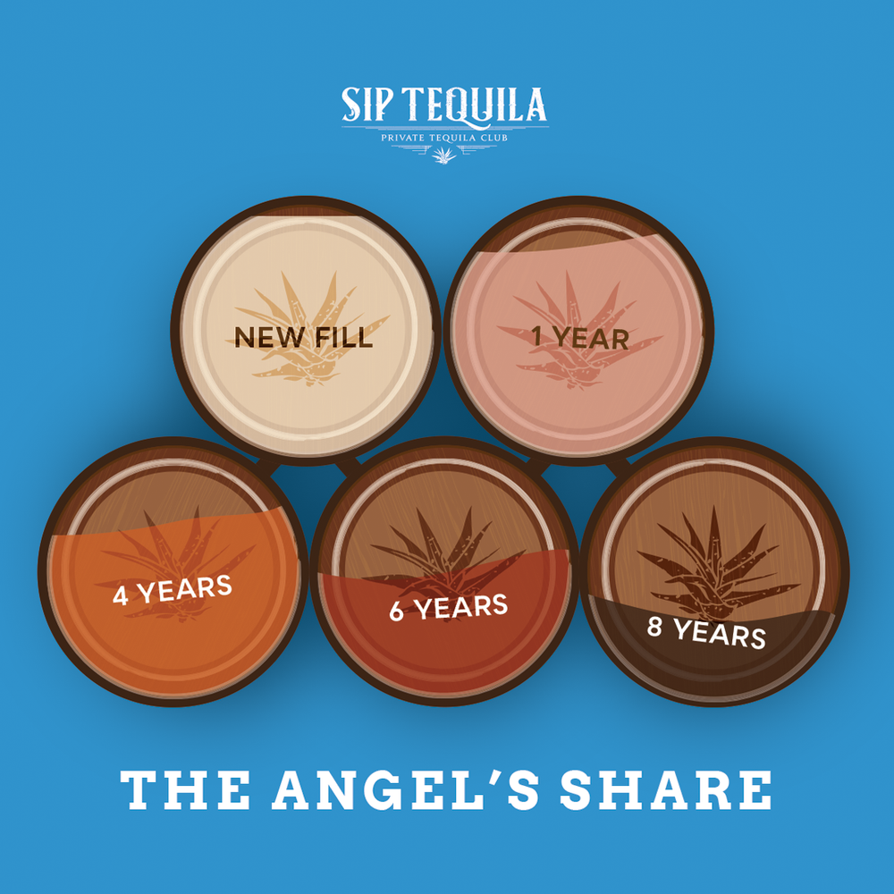 Angel's Share of Tequila | Sip Tequila