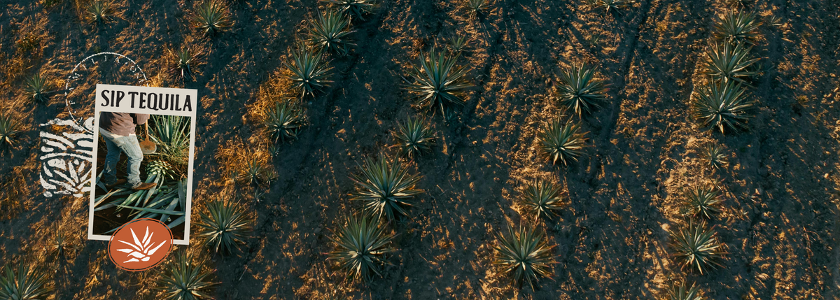 Sip Tequila | Tequila & Agave Spirits Delivered To Your Door