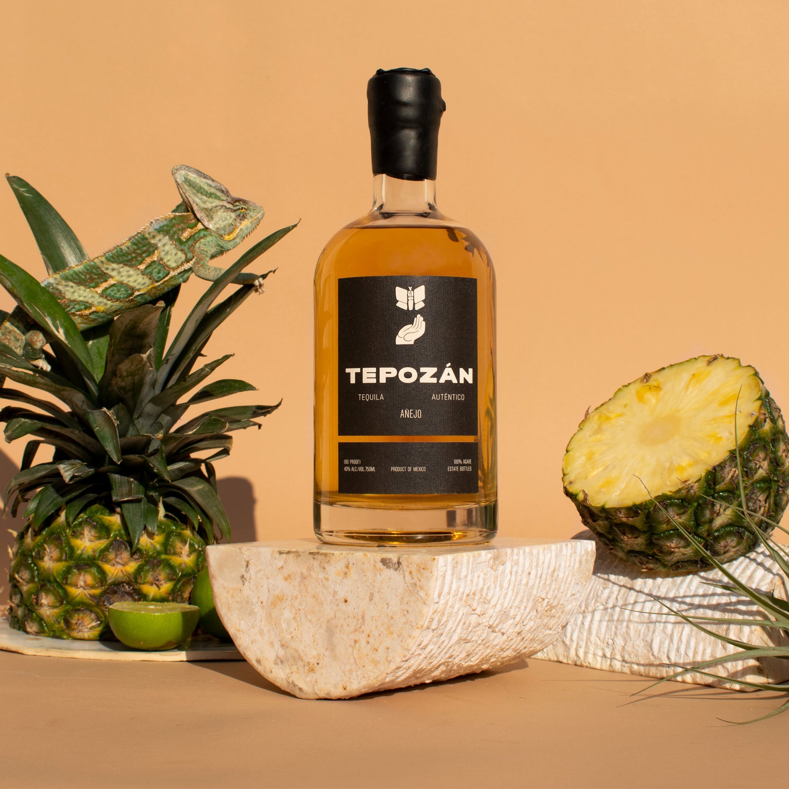 Tepozan Añejo Tequila 750ml
