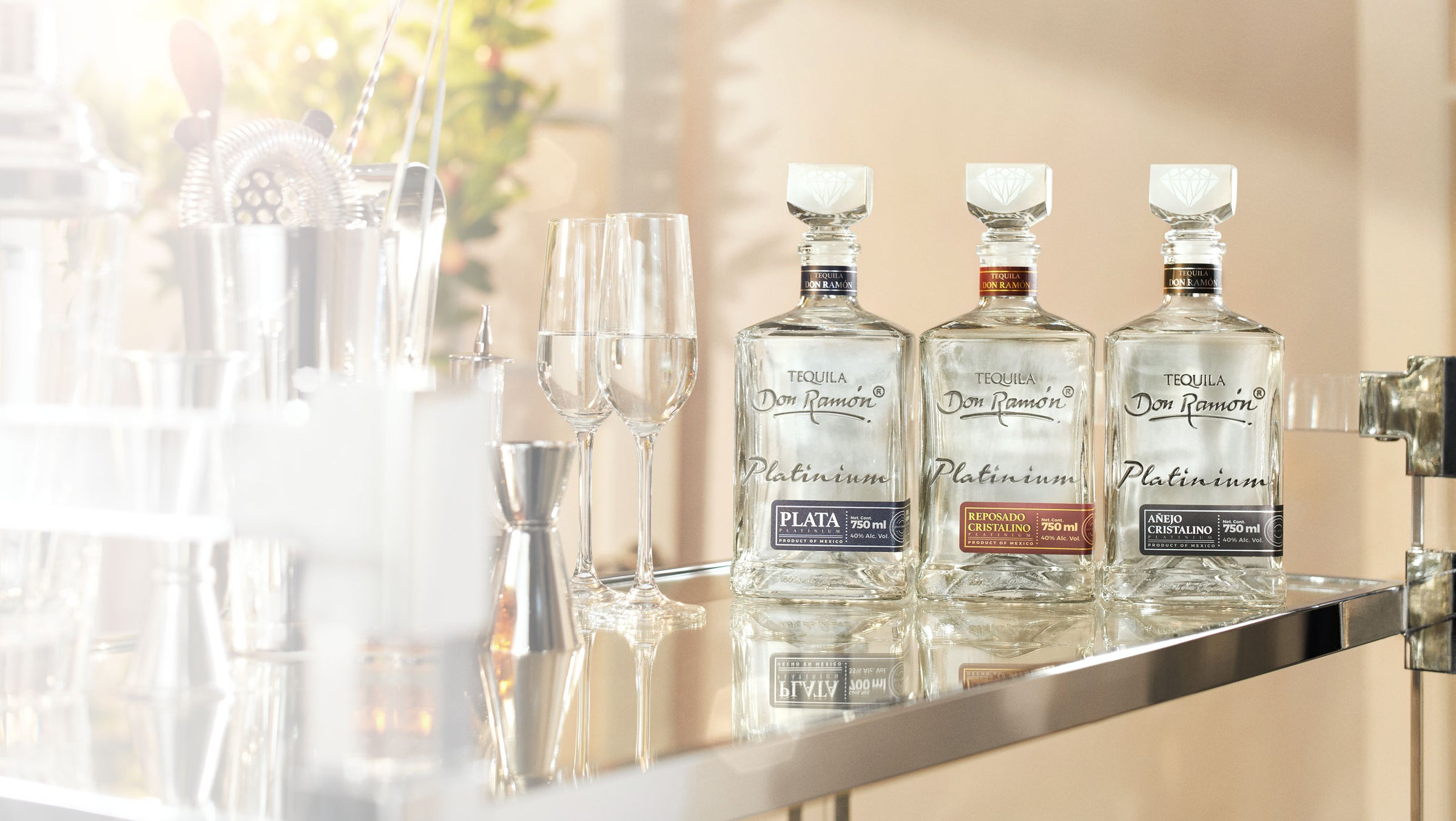 Don Ramon Family Collection | Platinum Tequila Set